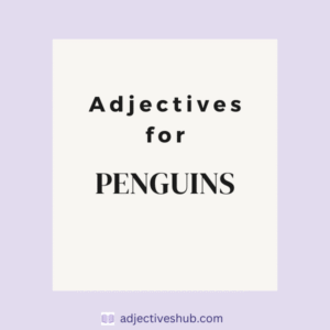 Adjectives for Penguins: A Comprehensive Grammar Guide